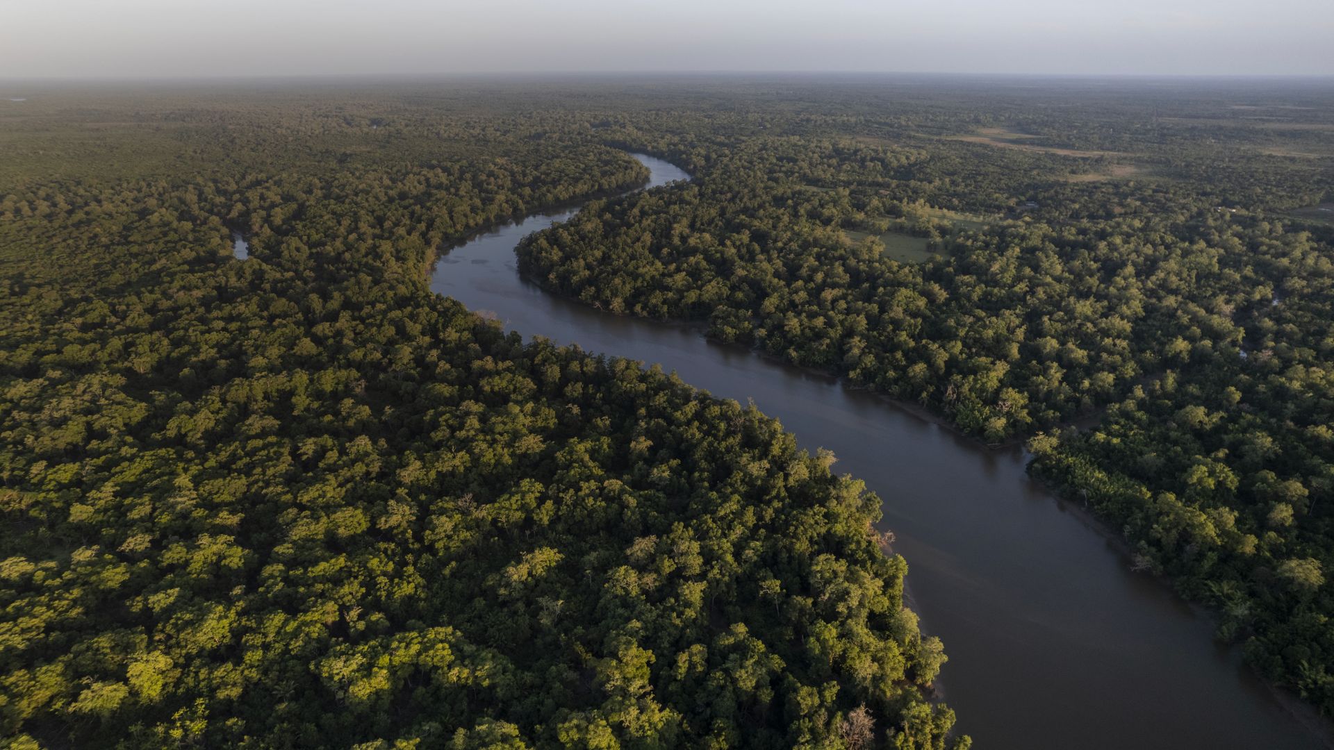 NetZERO | GCC Carbon Offset Solutions