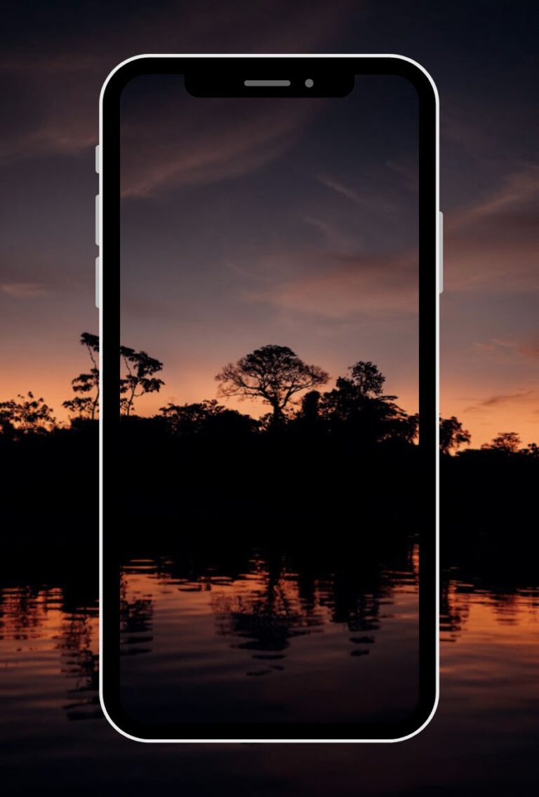 MOSS - NetZERO | GCC Carbon Offset Solutions